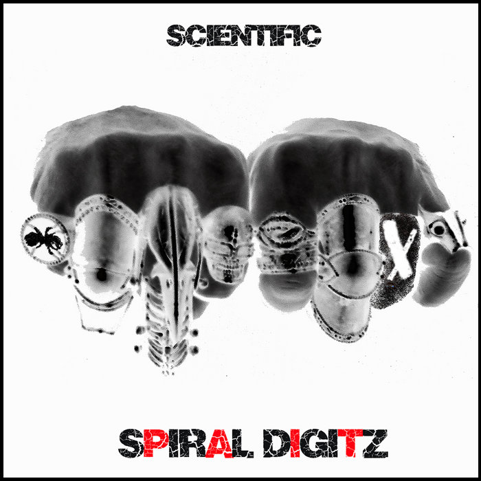 Spiral Digitz | Scientific