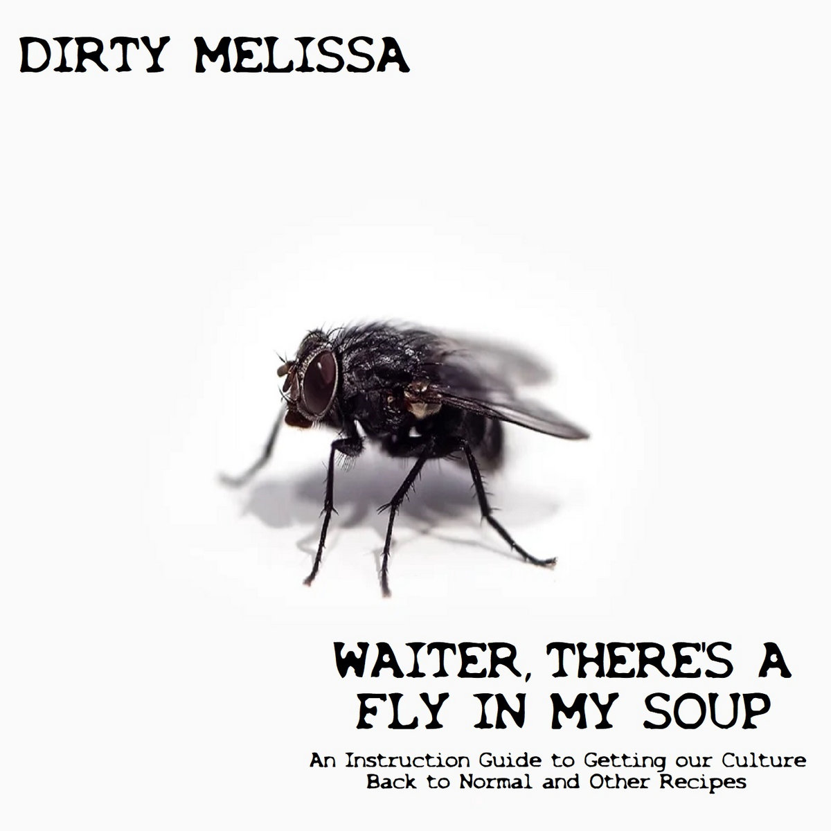 Waiter, There's Fly In My Soup: An Instruction Guide to Getting our ...
