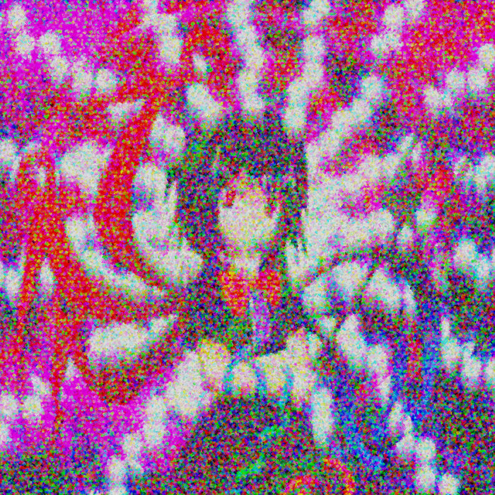 unintelligible foreign object | Dexid