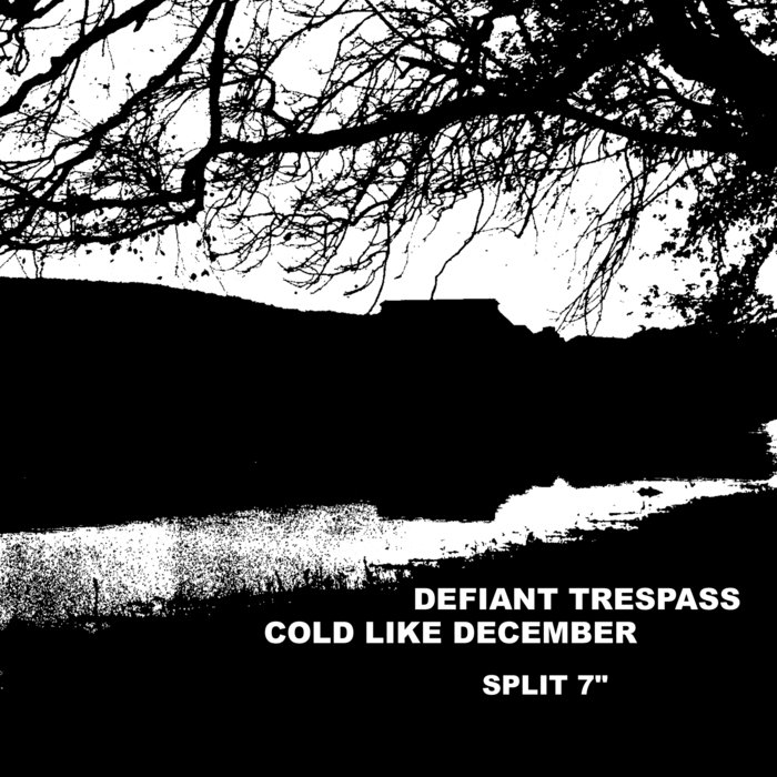 Defiant Trespass / Cold Like December split 7" | Defiant Trespass ...