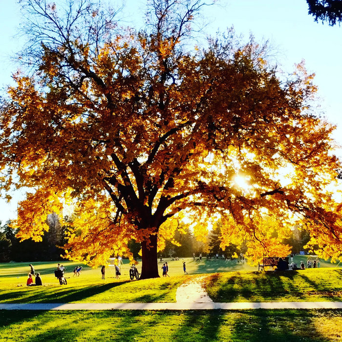 Falling | Wally Clark