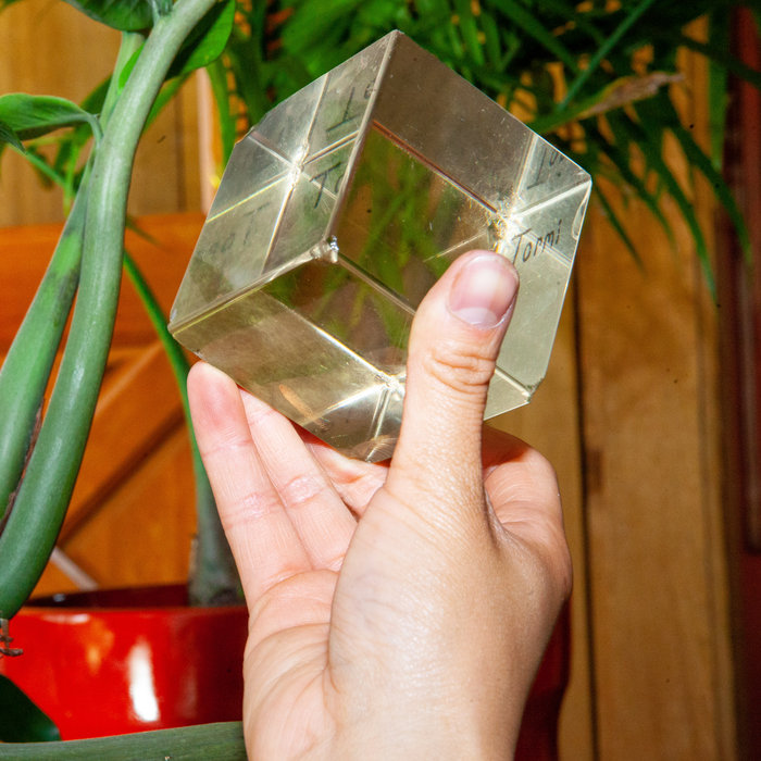 Tormi | Tormi | Anything Bagel