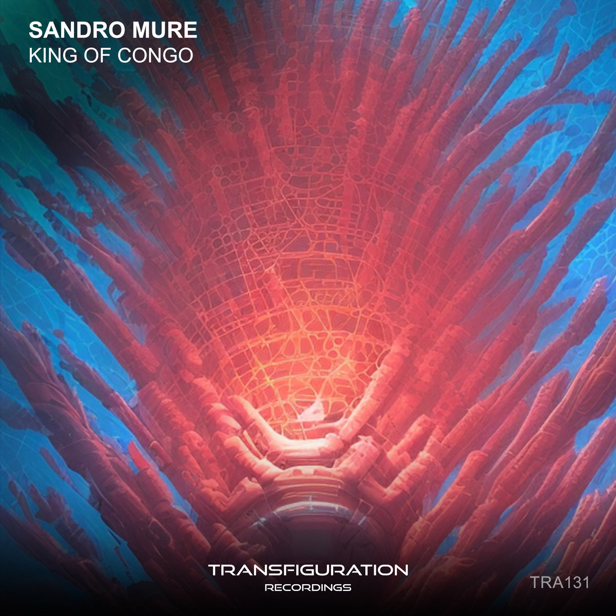 King Of Congo | Sandro Mure | Andy BSK