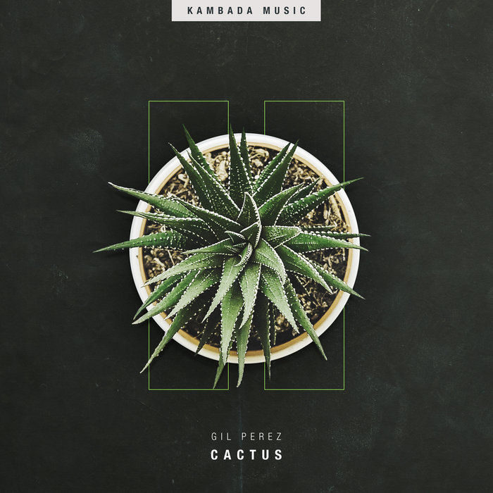 Cactus [Album 02] | Gil Perez