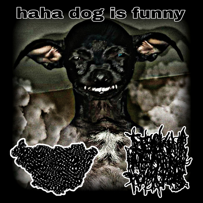 haha dog is funny | PLECTOSPORIUM / IxFxHxCxTx | YOU DON'T LISTEN TO ...