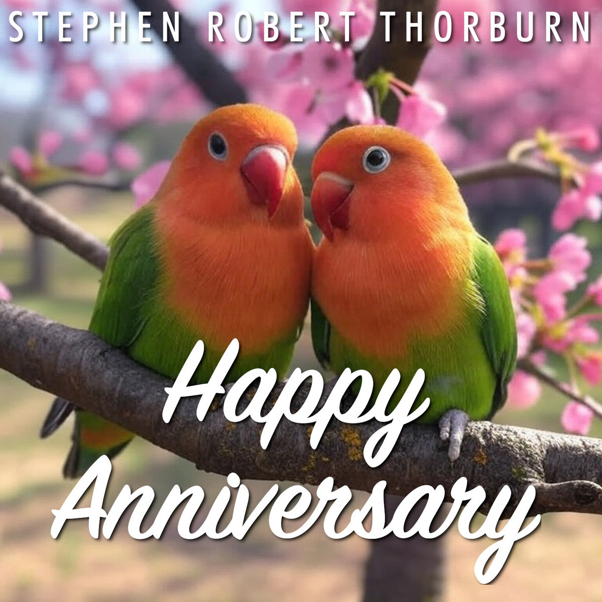 HAPPY ANNIVERSARY - 50 Languages | Stephen Robert Thorburn