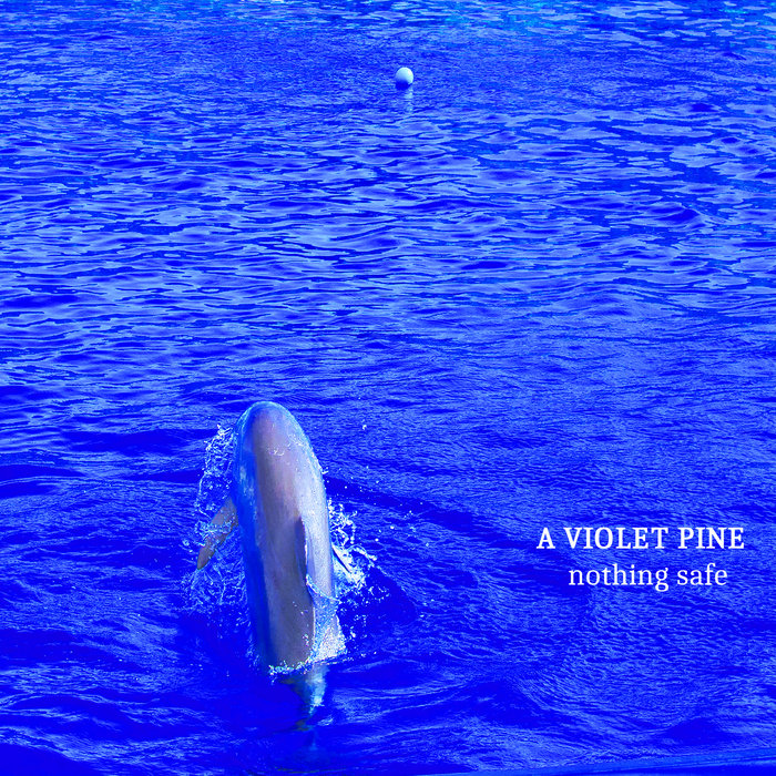 Nothing Safe | A Violet Pine