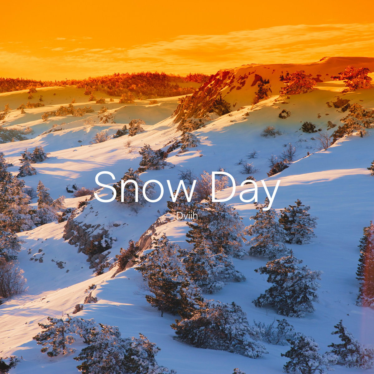 Snow Day | Dviih