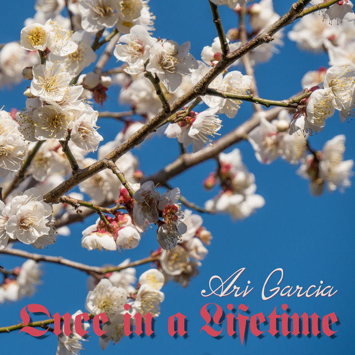 Once in a Lifetime | ARI GARCIA