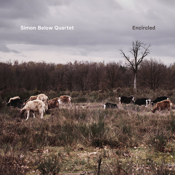 Encircled | Simon Below Quartet