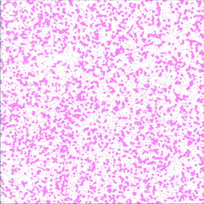 Pink Collection | Andrew Hulett