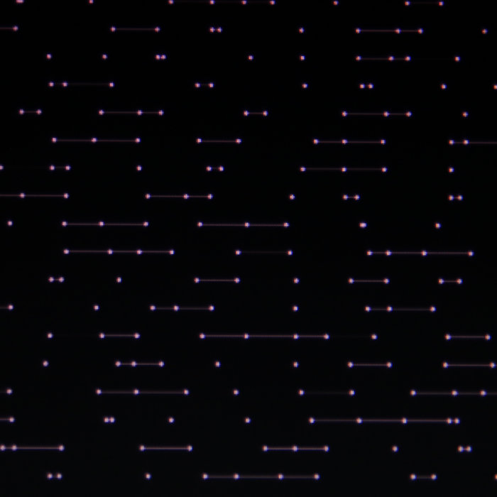 aescripts + aeplugins remix | JOÃO GUIMARÃES