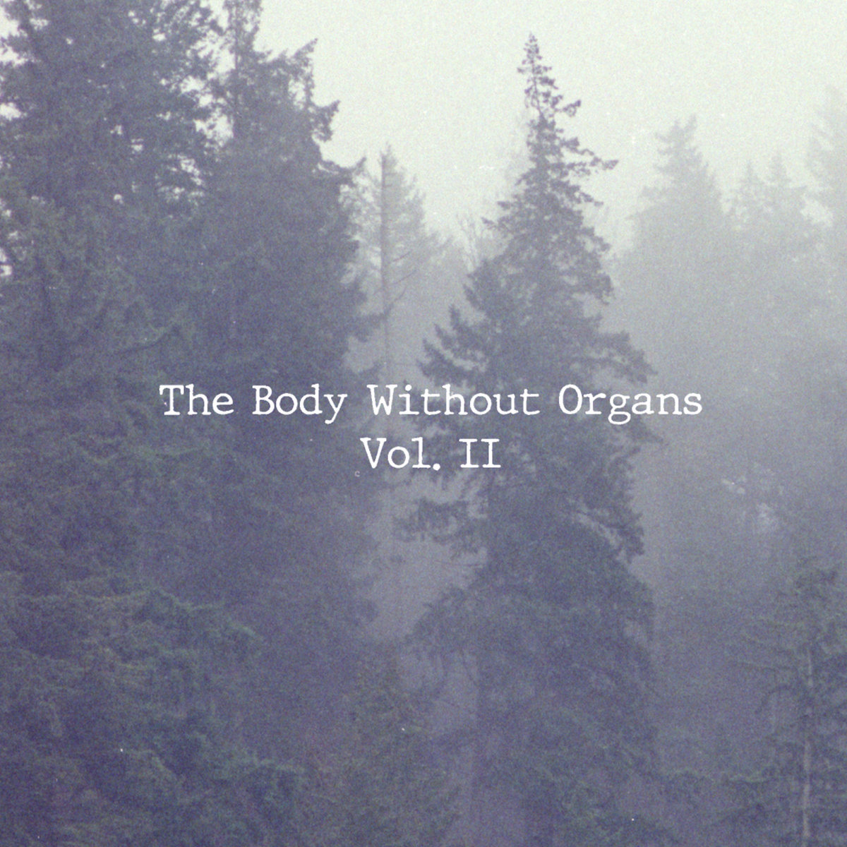 The Body Without Organs: Vol. II | The Body Without Organs