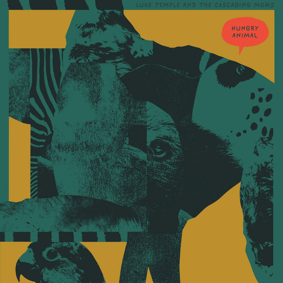 Hungry Animal | Luke Temple