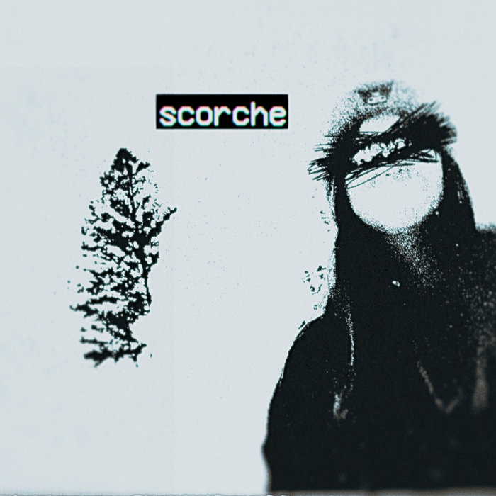 Scorche | Scorche