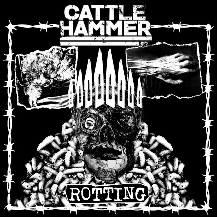 Rotting (demo) | Cattle Hammer