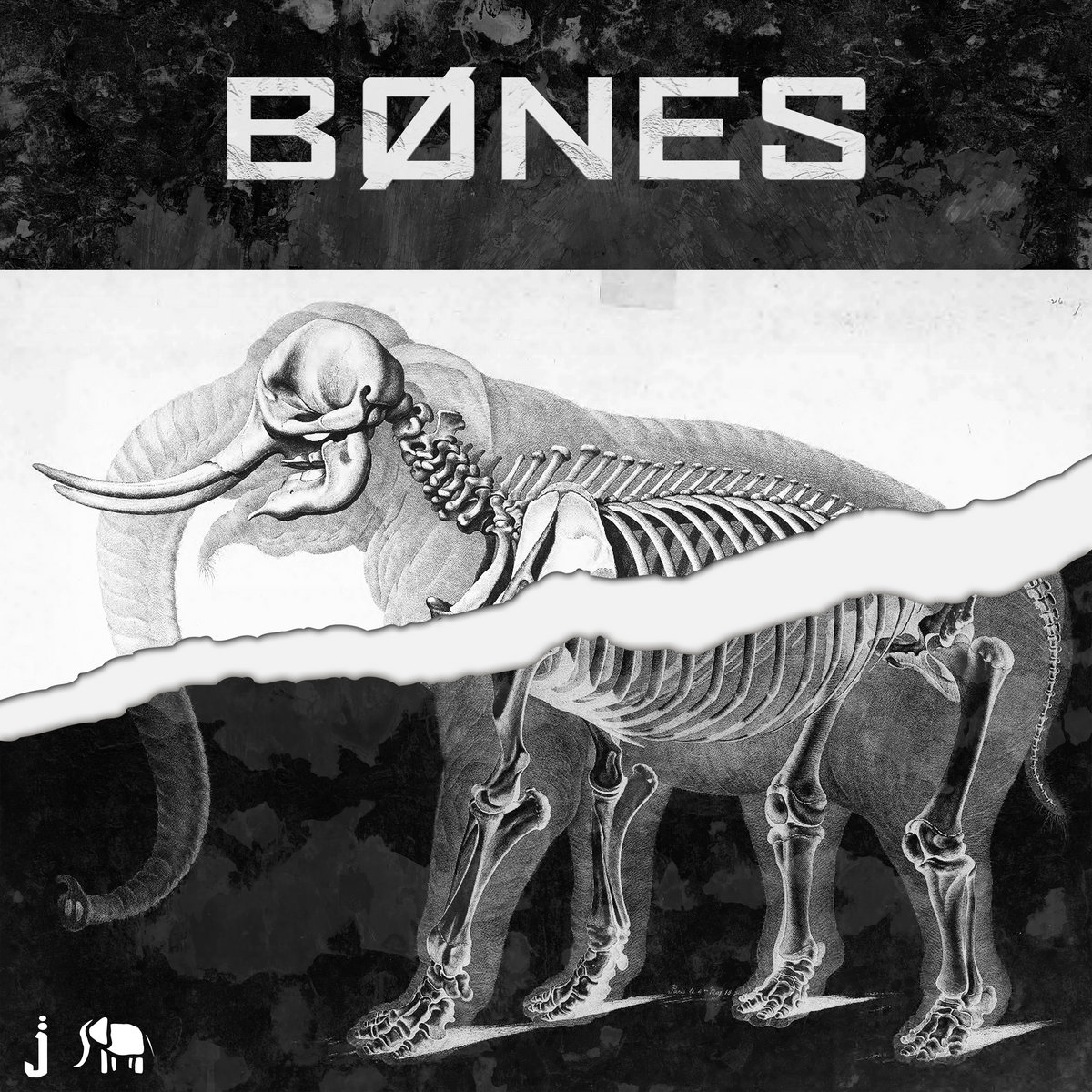 BØNES | jordnmoody x snuffy | jordnmoody