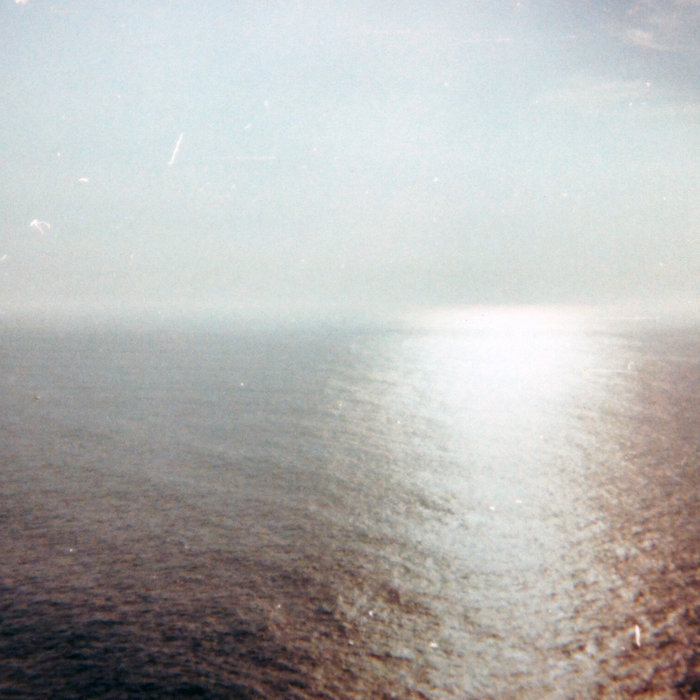 On Sea-Faring Isolation | Dolphins Into The Future