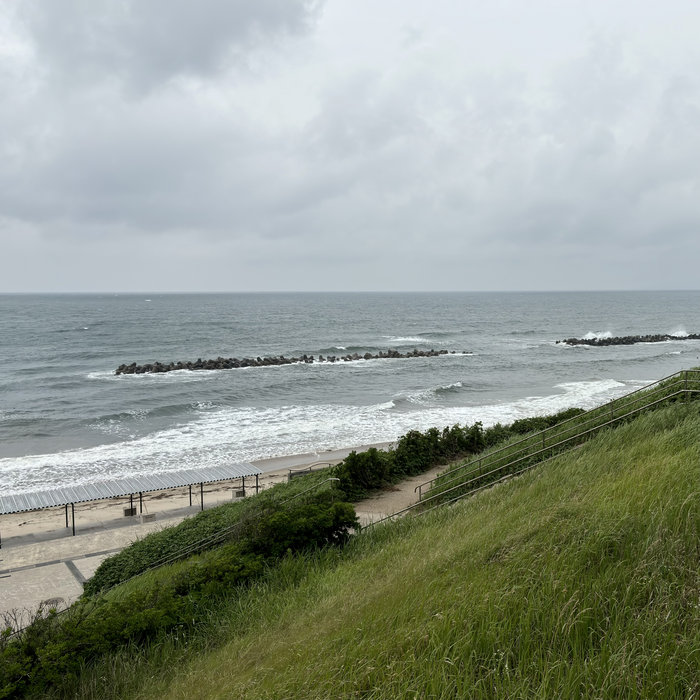 DAMP WIND | CHAM | CHAM / PHANTOM MUSIC