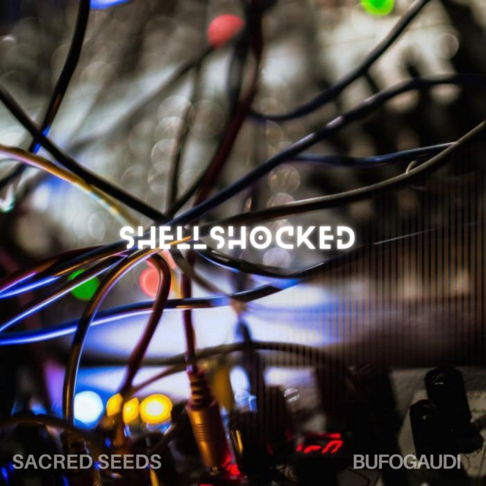 Sacred Seeds X Bufogaudi - Shellshocked | Sacred Seeds