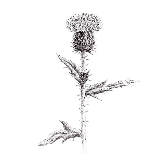 KDK-5 Kyosuke Higuchi - a void in the gramophone | Kyosuke Higuchi ...