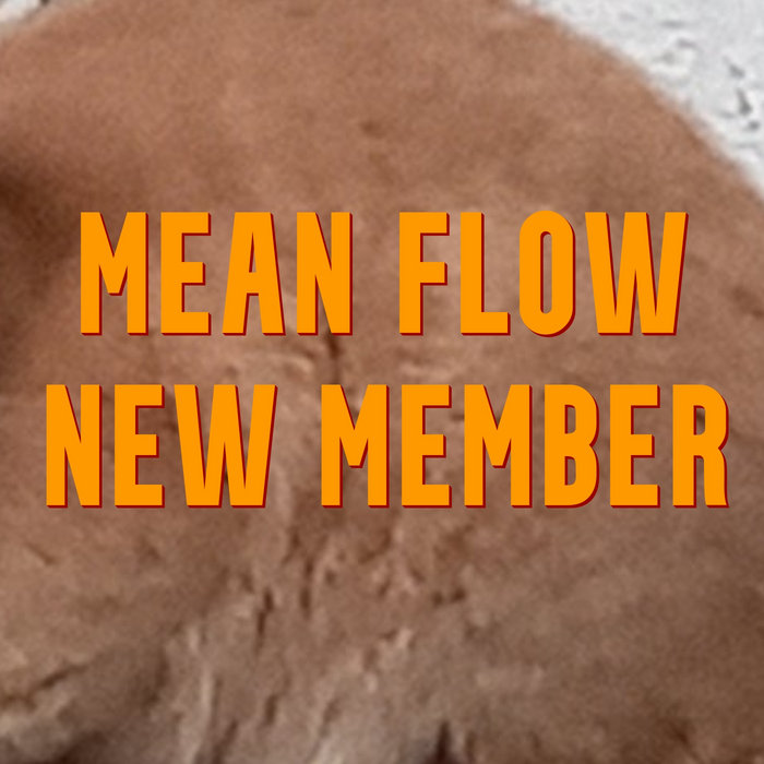 New Member | Mean Flow