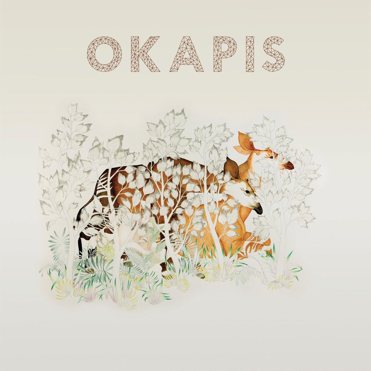 OKAPIS | OKAPIS