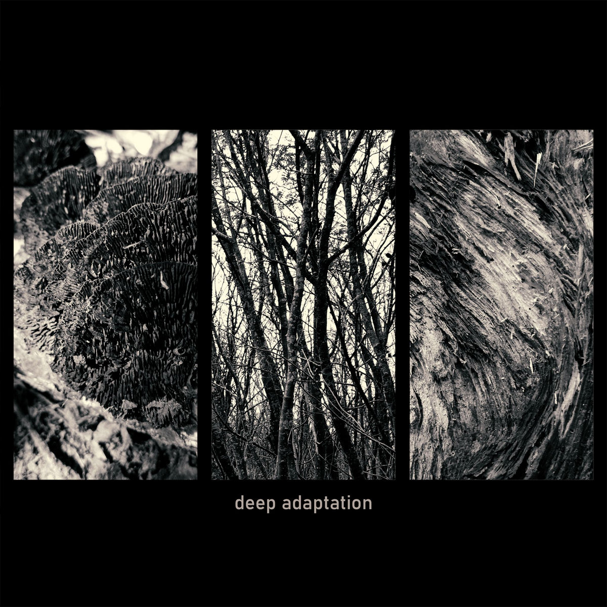 deep adaptation | deep adaptation | Opus Elefantum