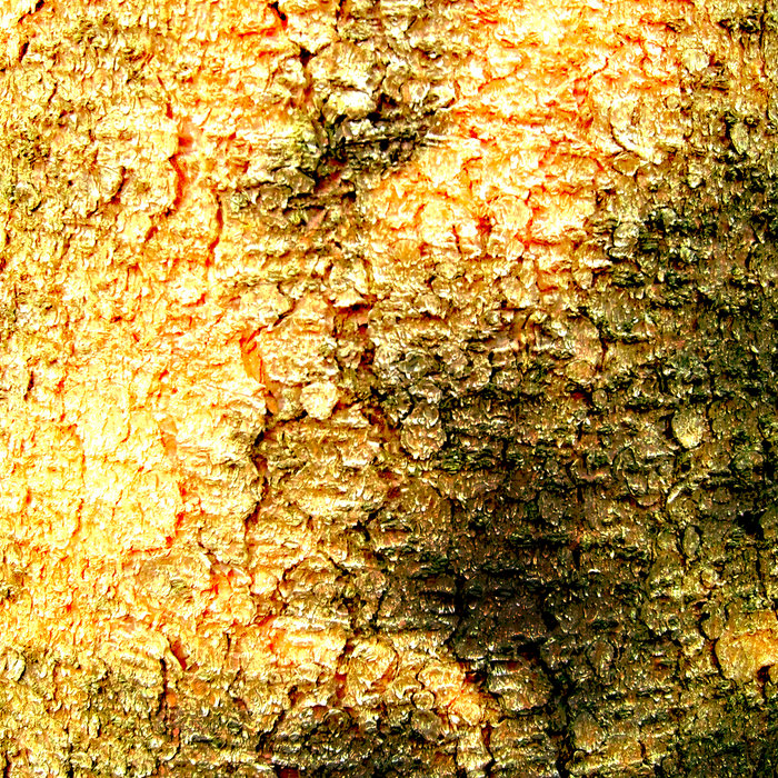 Amber | Goh Lee Kwang