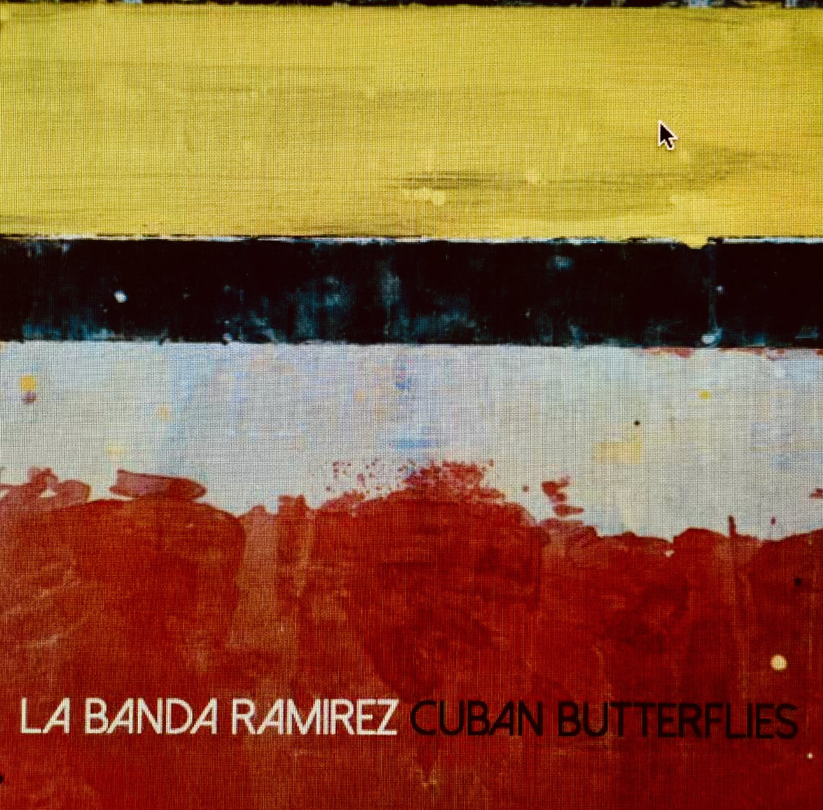 Cuban Butterflies | Chacho Ramirez