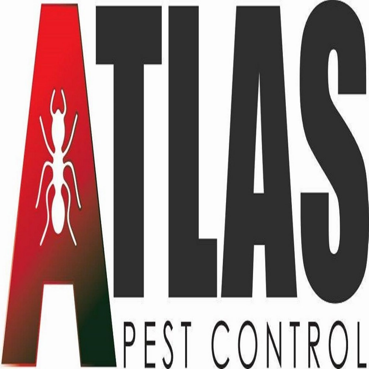 Atlas Termite & Pest Control | Atlas Termite & Pest Control