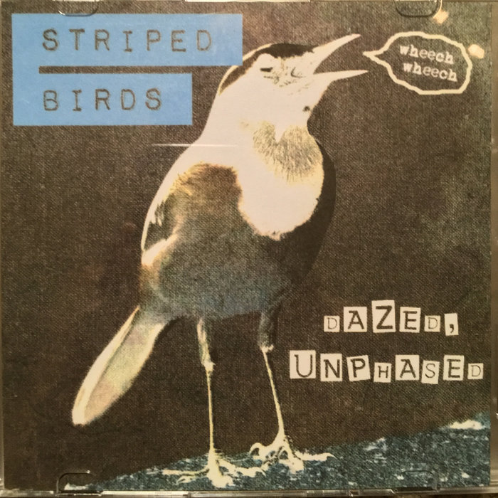Dazed, Unphased: Live from Milkweed | Striped Birds