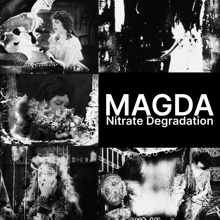 Nitrate Degradation | Magda