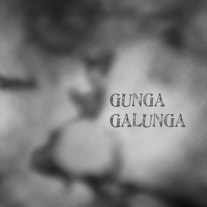 Gunga Galunga (NaSoAlMo album) | Kyle Richards | Kyle Richards and the ...