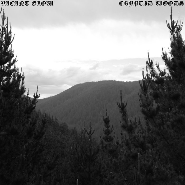 Cryptid Woods | Vacant Glow