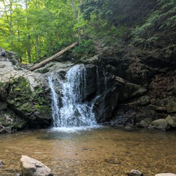 You're Beautiful | The Electric Stage Hogs