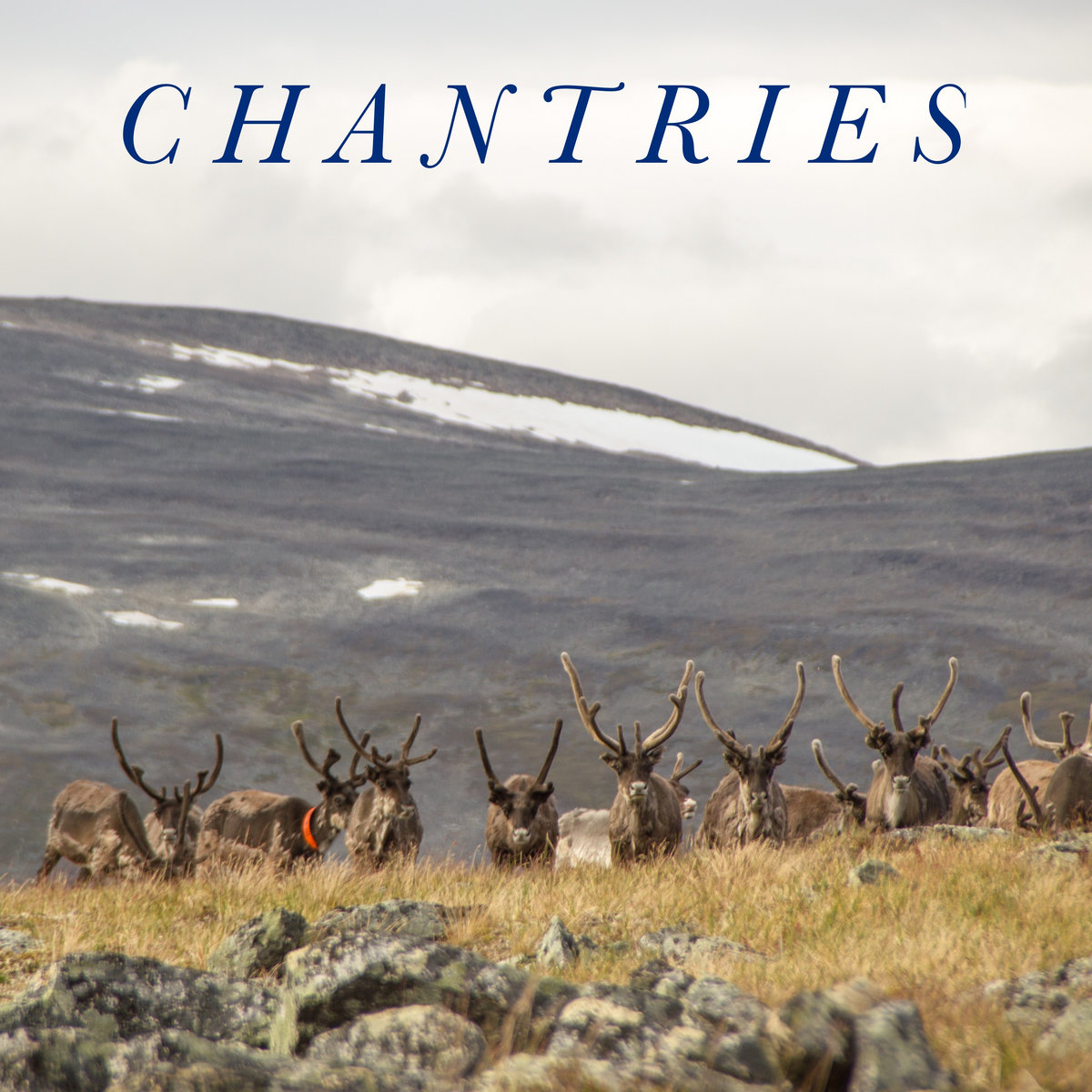 Chantries | Chantries