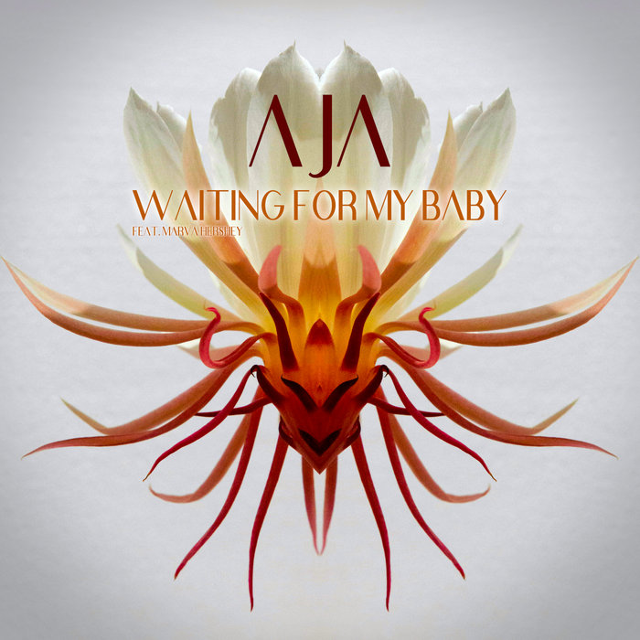 Waiting for my Baby | AJA aka Zero Crossing | Andreas Angerer