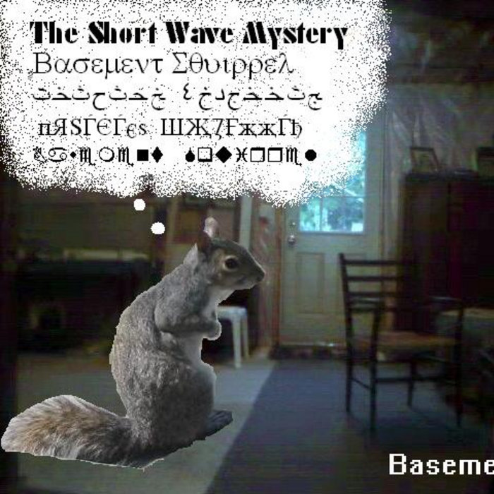 Basement/Squirrel | The Short Wave Mystery