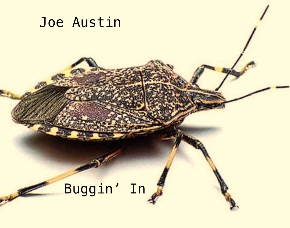 Buggin' In | Joe Austin