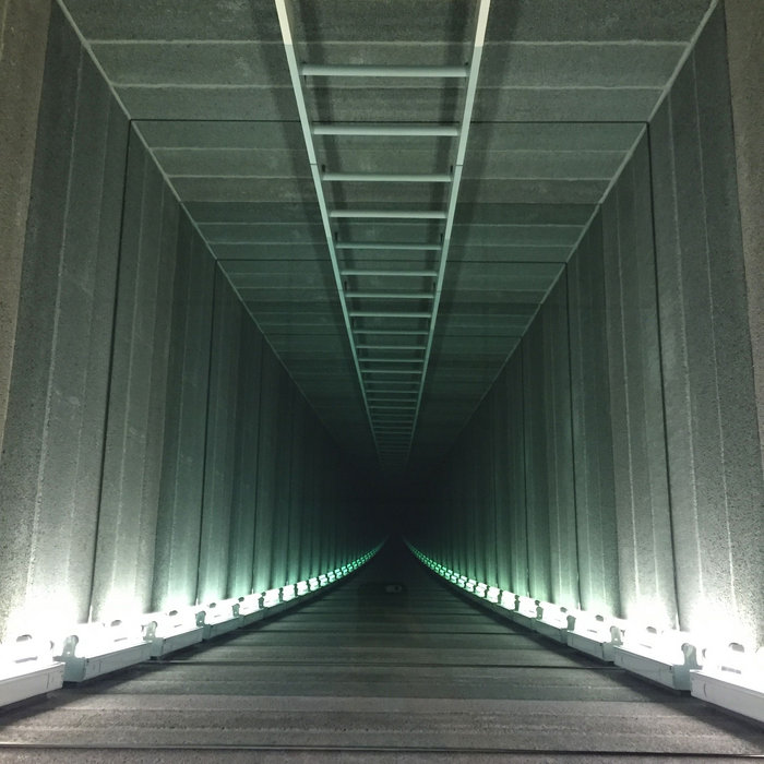 I Became a Baby Again & the Universe Forgave Me | Bob Bucko Jr