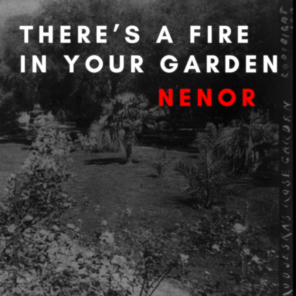 There's a Fire In Your Garden | Nenor
