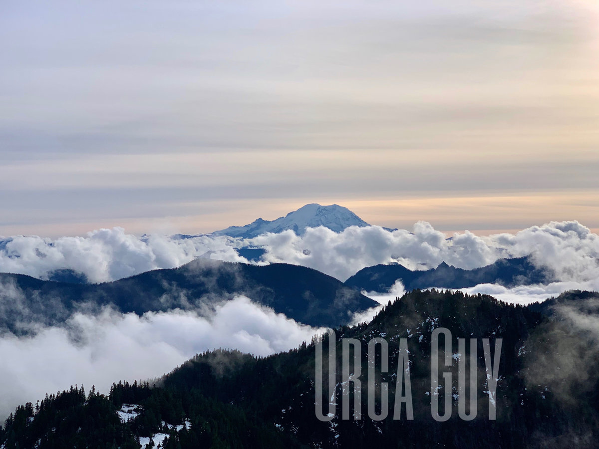 Orca Guy | Owen Begley-Collier (Orca Guy) | Orca Guy