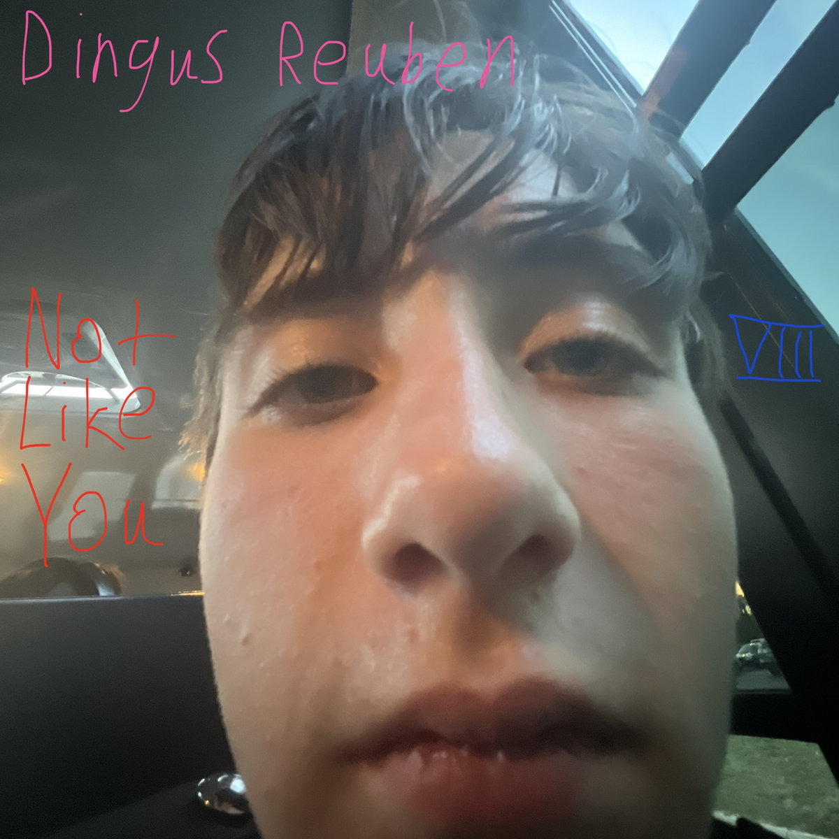 Not Like You | Dingus Reuben