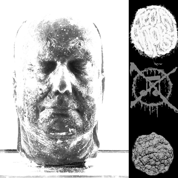 Split with rectal autopsy | xwxwx