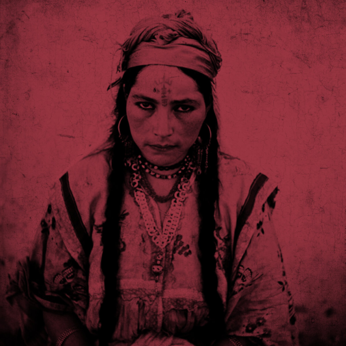 Znousland 2 زنوسلاند | Znous زنوس