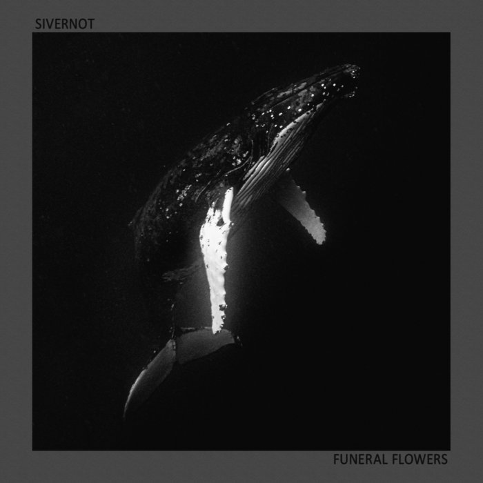 Мать-земля (Funeral Flowers Remix) | SIVERNOT | Untitled Burial