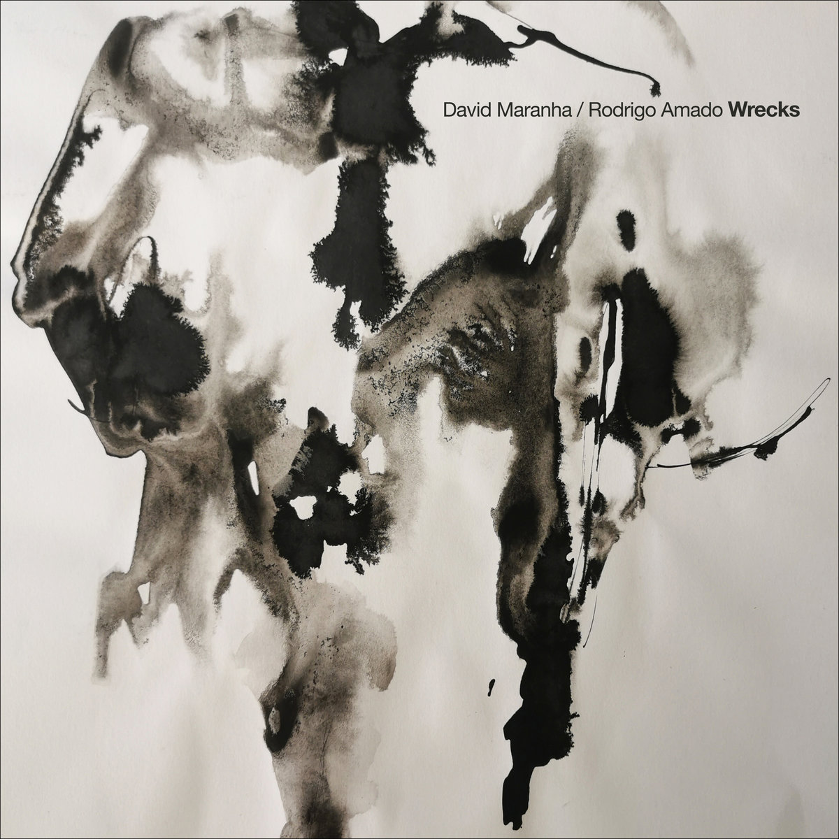 Wrecks | David Maranha / Rodrigo Amado | Rodrigo Amado