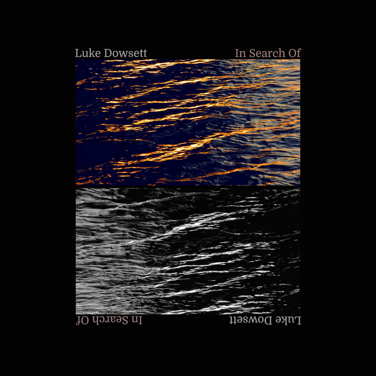 In Search Of | Luke Dowsett