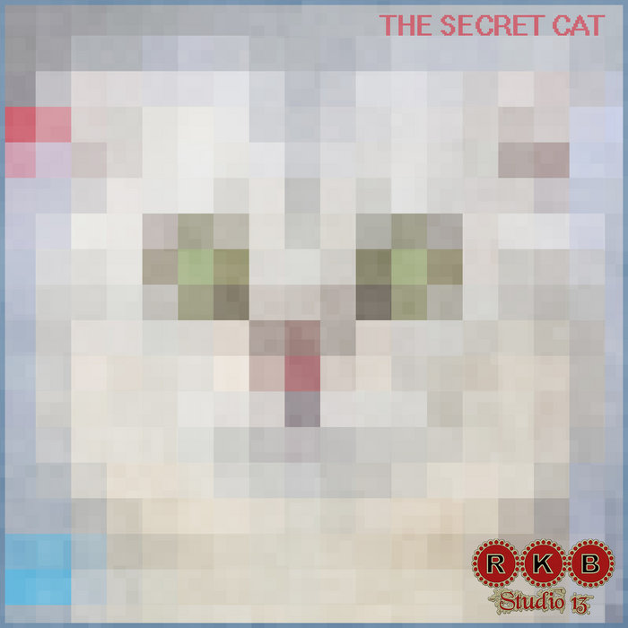 The Secret Cat | R.K.B. Studio 13